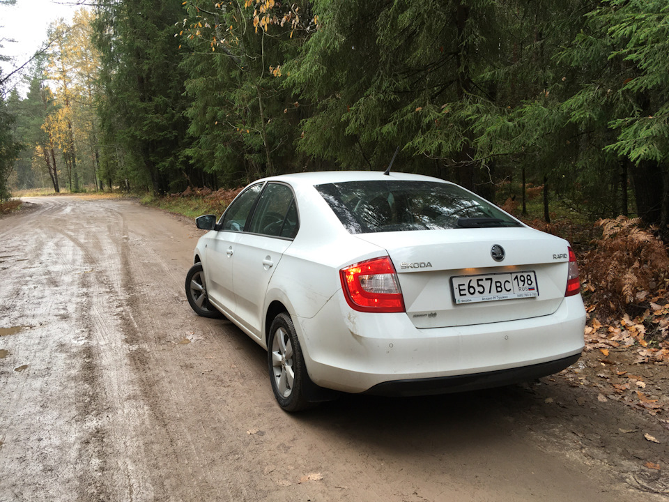 #3 Live: Rabbit в лесу — Skoda Rapid (1G), 1,6 л, 2015 года ...
