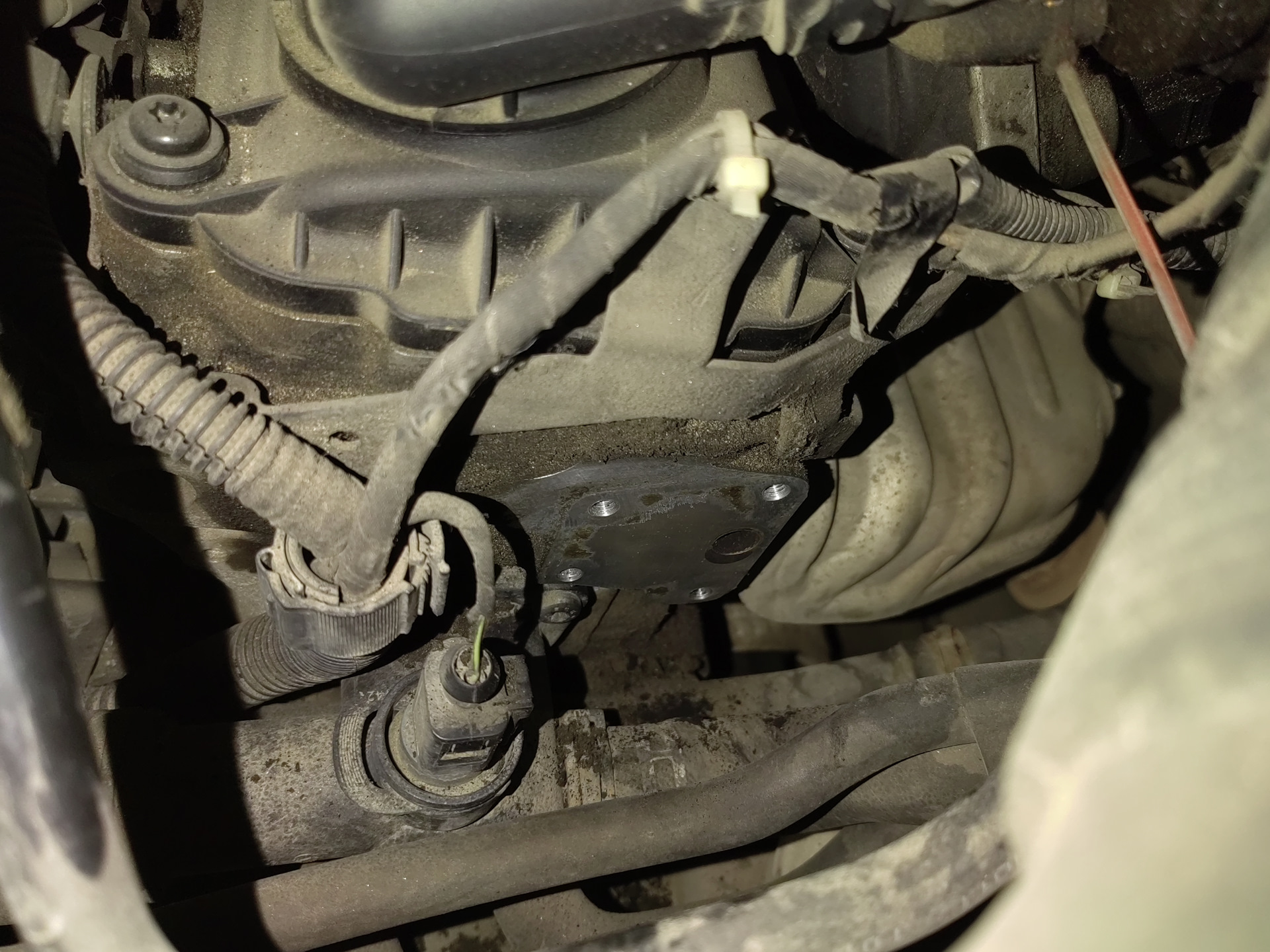 СВВ давай дасвиданья — Volkswagen Golf Mk5, 1,6 л, 2008 года | своими ...