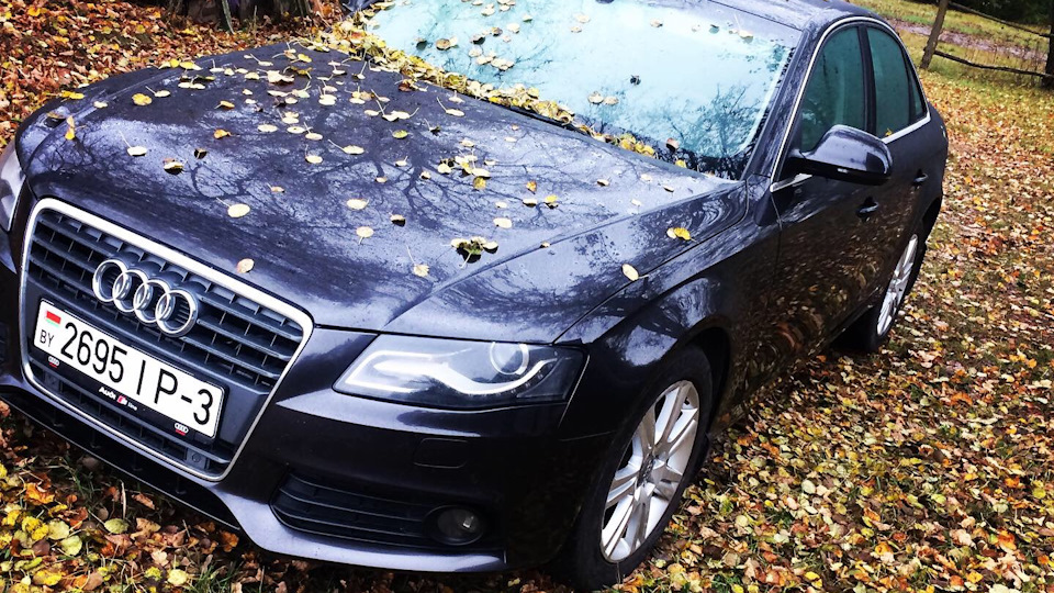 Откуда Течь масла a4 b8 tfsi 2008 — Audi A4 (B8), 2 л, 2008 года ...