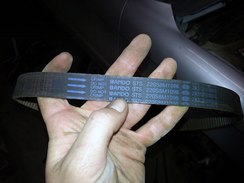 243122X000 Ремень ГРМ KIA HYUNDAI | Запчасти на DRIVE2