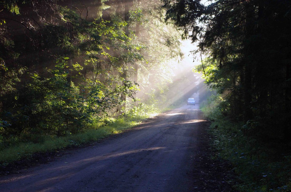 Утром в лесу — Volkswagen Golf Mk2, 1,3 л, 1986 года | фотография | DRIVE2