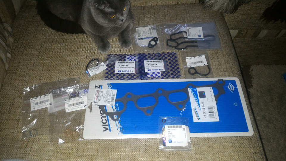 713815100 Прокладка, выпускной коллектор VICTOR REINZ | Запчасти на DRIVE2