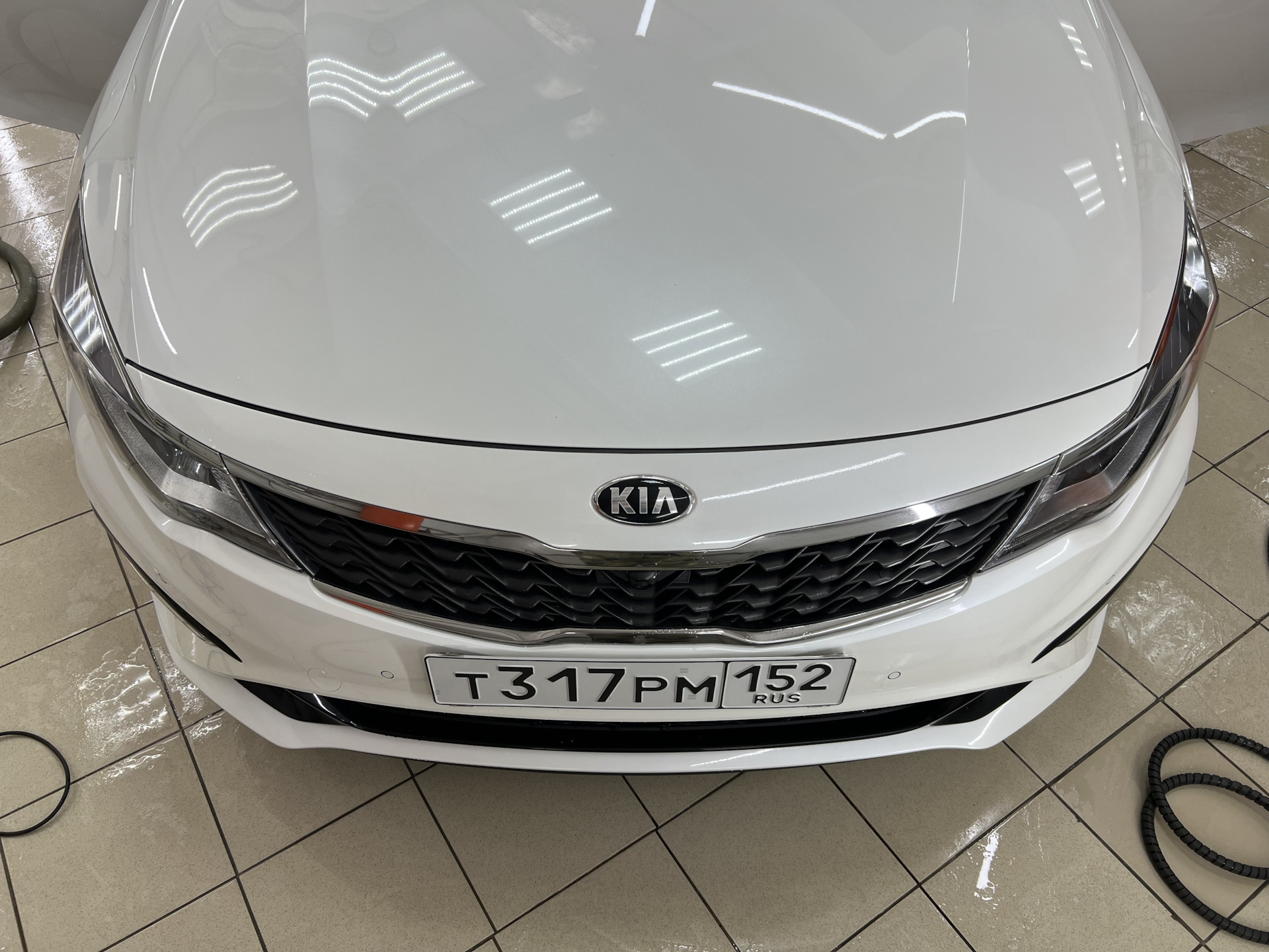 Черные эмблемы KIA — KIA Optima (4G), 2,4 л, 2019 года | стайлинг | DRIVE2