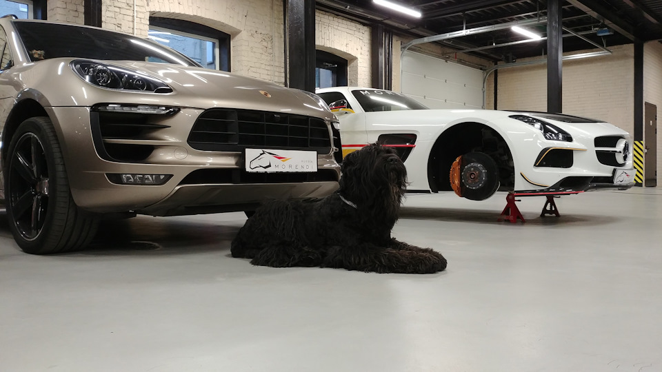 Morendi: отзывы, цены, фото