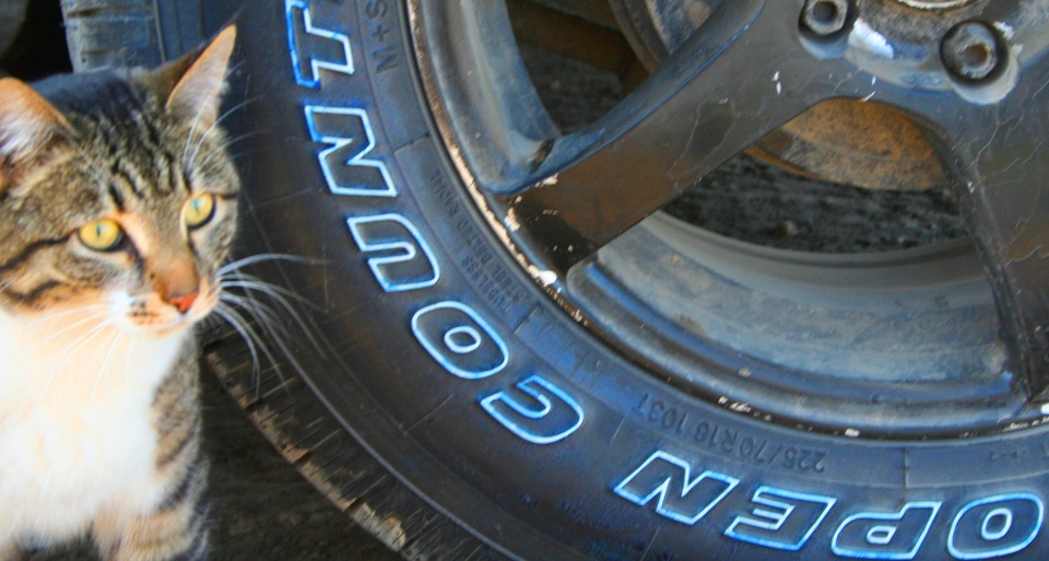 TOYO Open Country H/T 225/70 R16 103T и Дастер Подрос! — бортжурнал ...