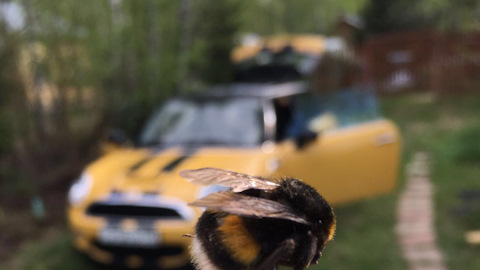 MINI Cooper S Mk II 1.5 бензиновый 2008 | Yellow bumblebee на DRIVE2