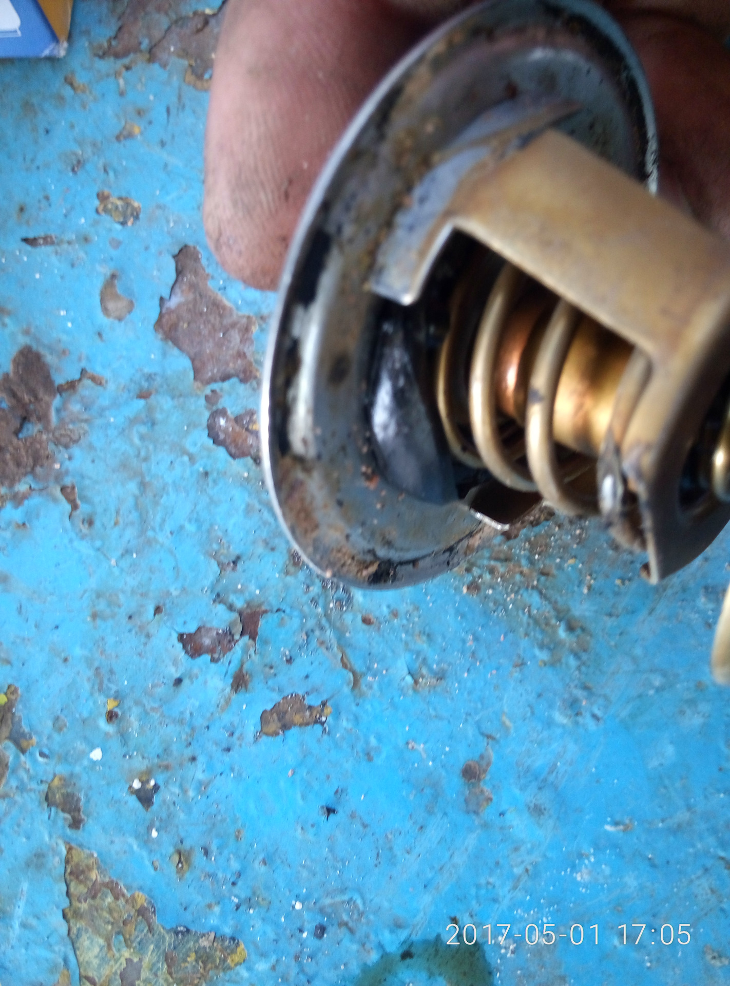 Замена ОЖ — Citroen Jumpy (1G), 2 л, 2002 года | своими руками | DRIVE2