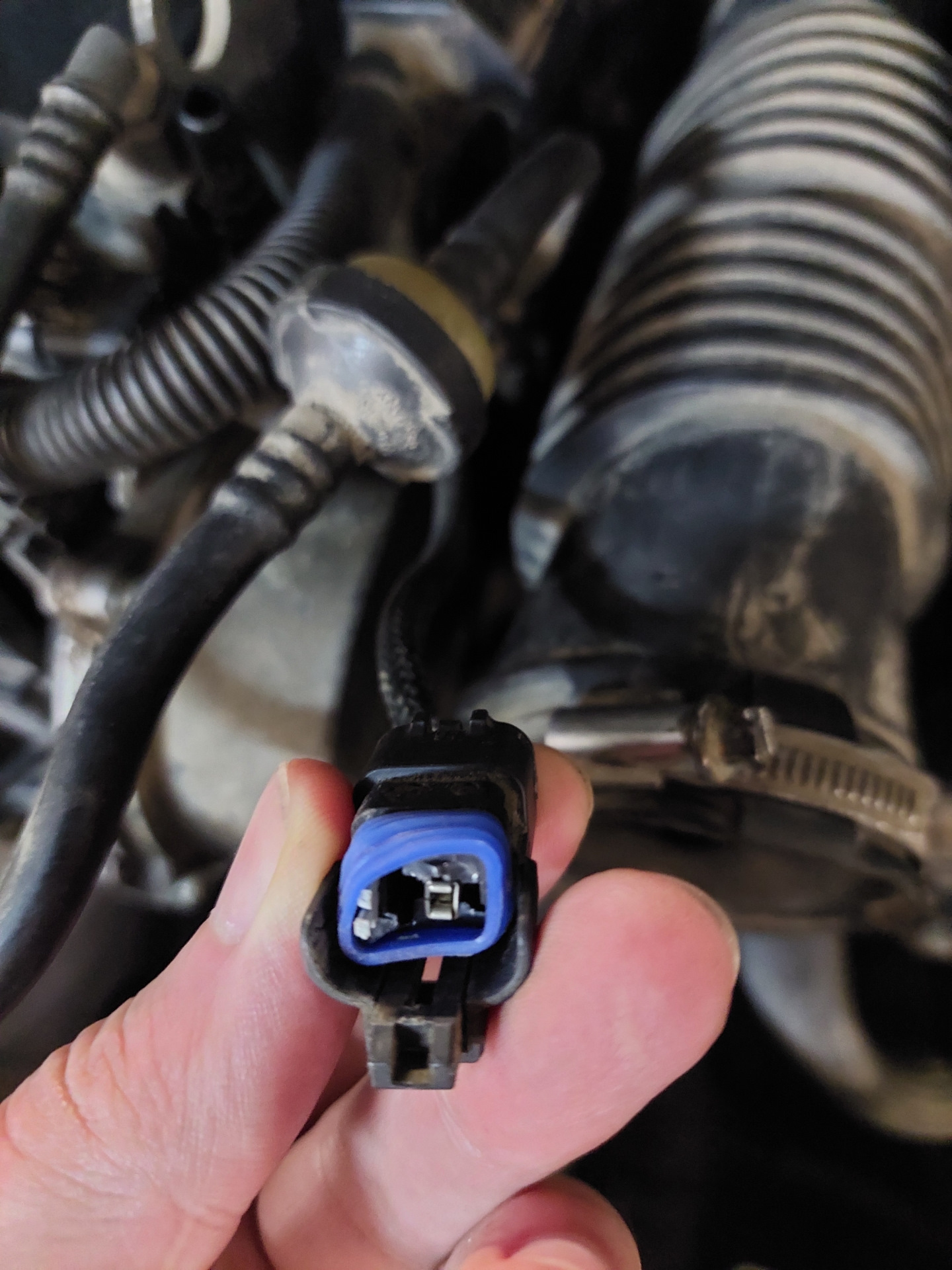 Замена разъёма датчика давления масла — Peugeot 308 SW (1G), 1,6 л ...