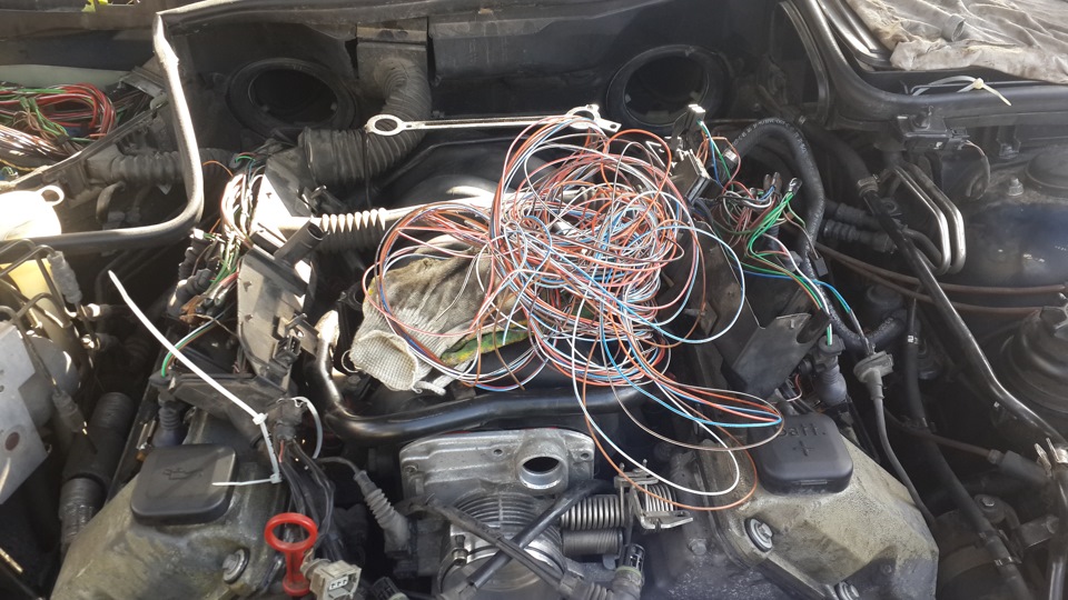 РАЗЬЕМЫ часть 2 — BMW 5 series (E39), 4,4 л, 1998 года | электроника ...