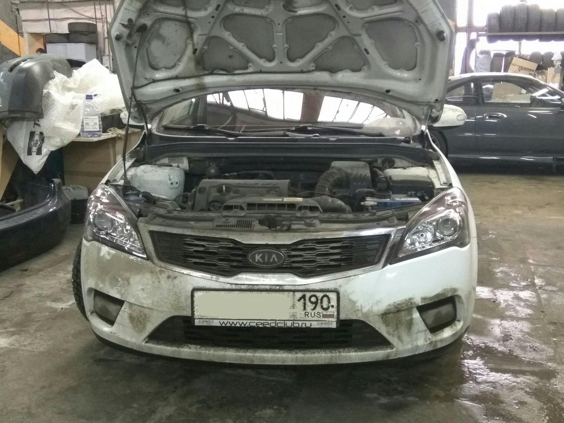 Замена фары — KIA Ceed (1G), 1,6 л, 2010 года | кузовной ремонт | DRIVE2