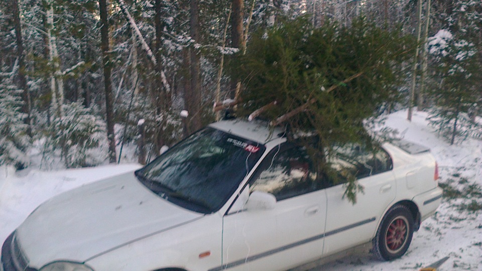 d15b non vtec redline — Honda Civic Hatchback (6G), 1,5 л, 1996 года ...