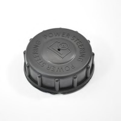 7700816919 Заглушка бачка гуру RENAULT | Запчасти на DRIVE2