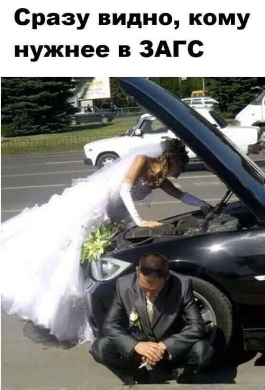 Просто фотки — Toyota Progres, 3 л, 2001 года | фотография | DRIVE2