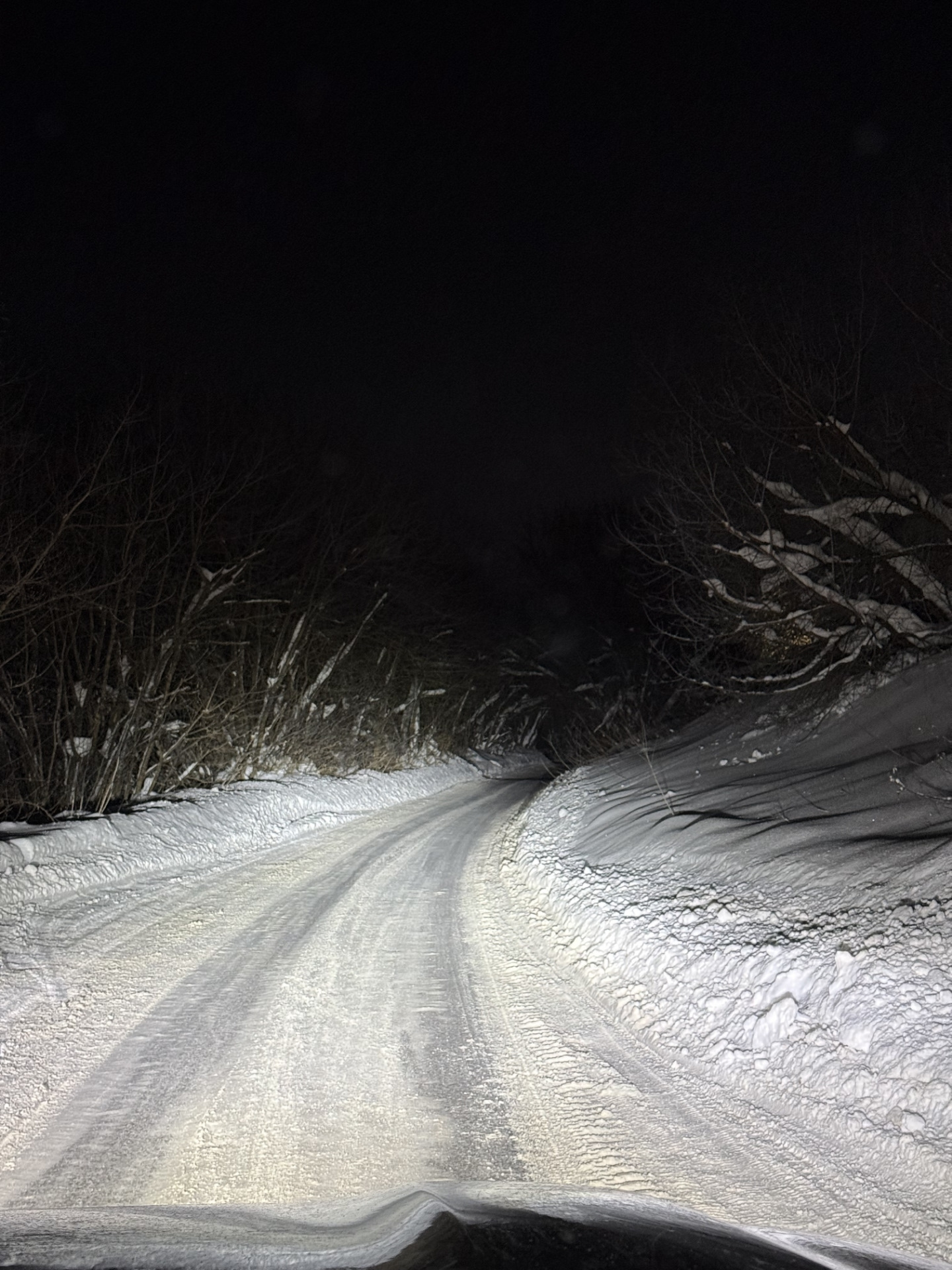 Да будет свет — Toyota Land Cruiser 200, 4,5 л, 2008 года | тюнинг | DRIVE2