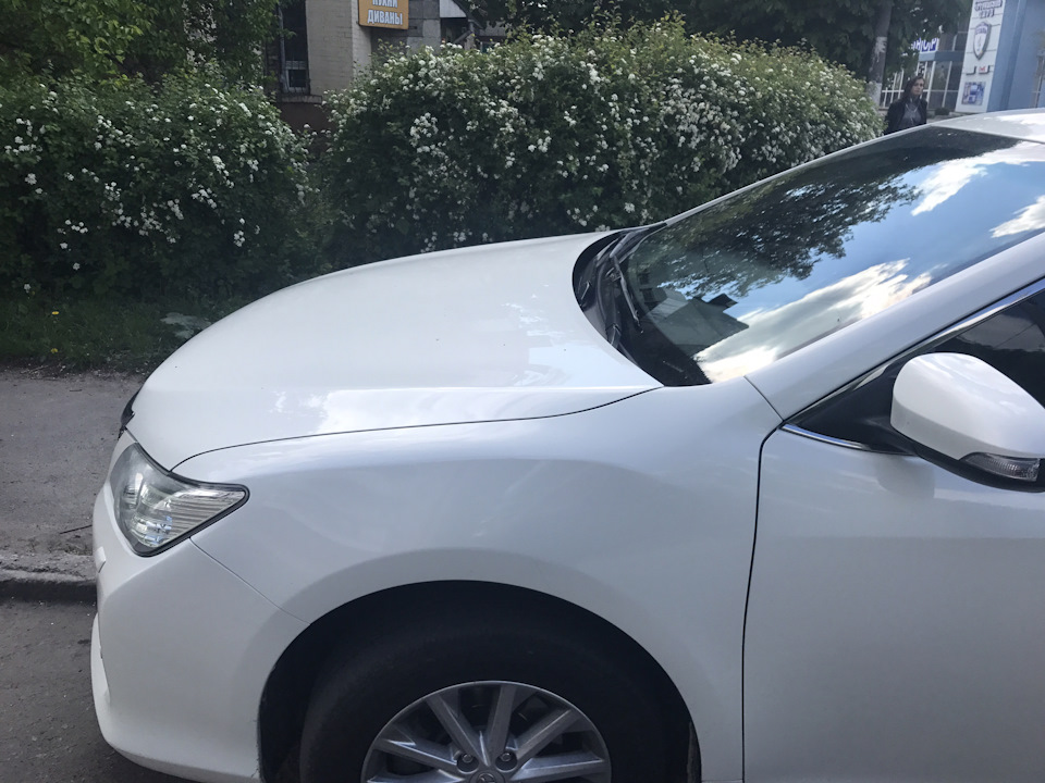 Белая Тойота с белой акацией и белыми каштанами! — Toyota Camry (XV50 ...