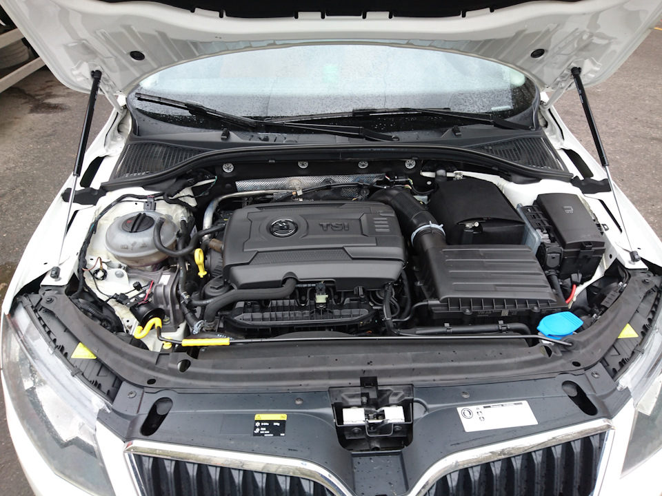 Газовые упоры капота — Skoda Octavia A7 Mk3 1 8 л 2013 года
