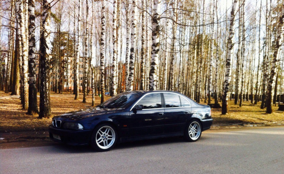 BMW не просто машина — BMW 5 series (E39), 2,5 л, 2000 года | просто так | DRIVE2