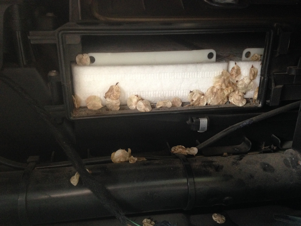 Фильтра салона — Mercedes-Benz CL (W215), 5 л, 2003 года | плановое ТО ...