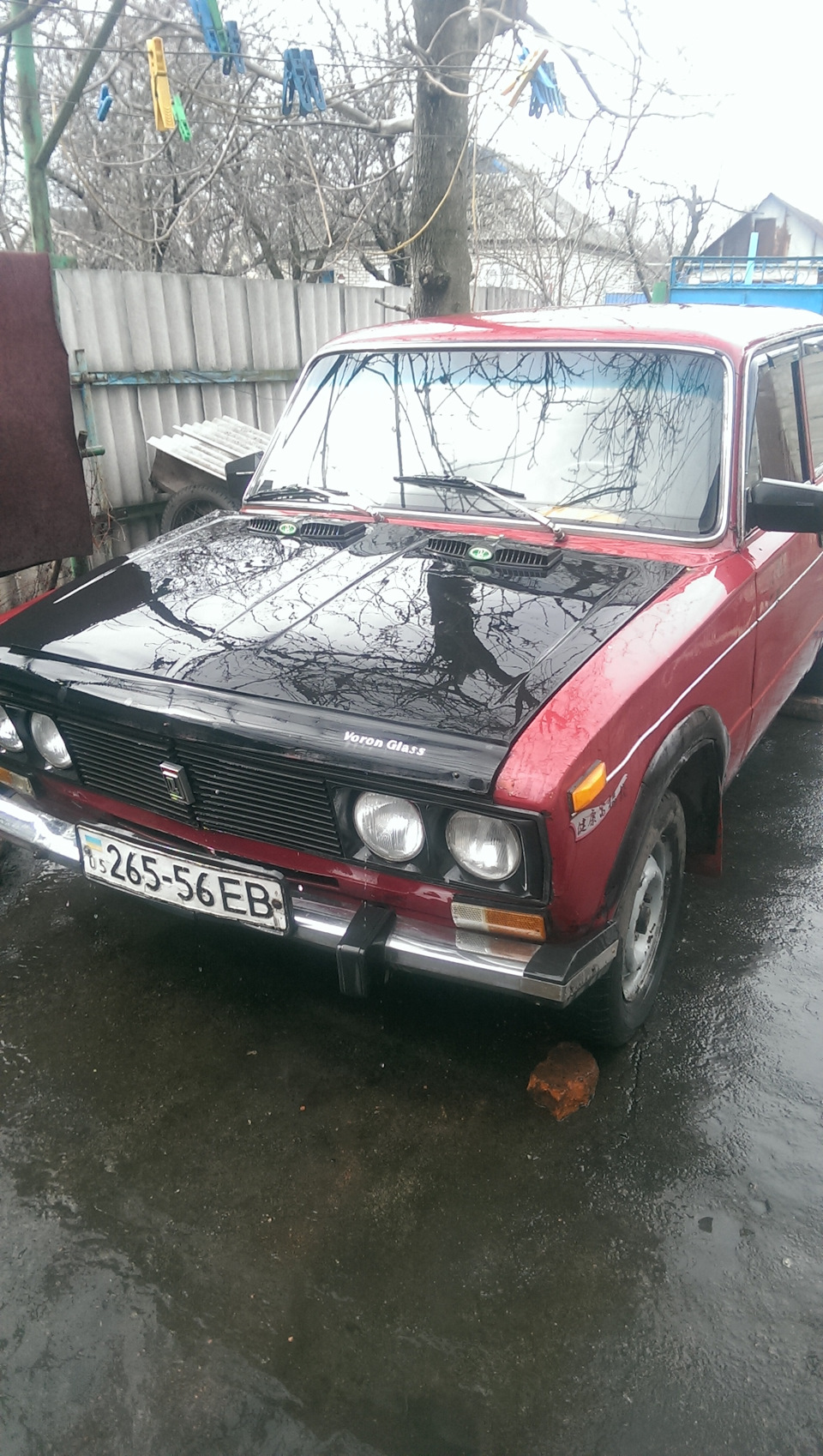 Помыл Шохочку))) — Lada 2106, 1,6 л, 1977 года | просто так | DRIVE2