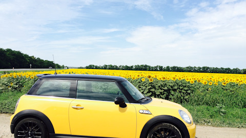 MINI Cooper S Mk II 1.5 бензиновый 2008 | Yellow bumblebee на DRIVE2