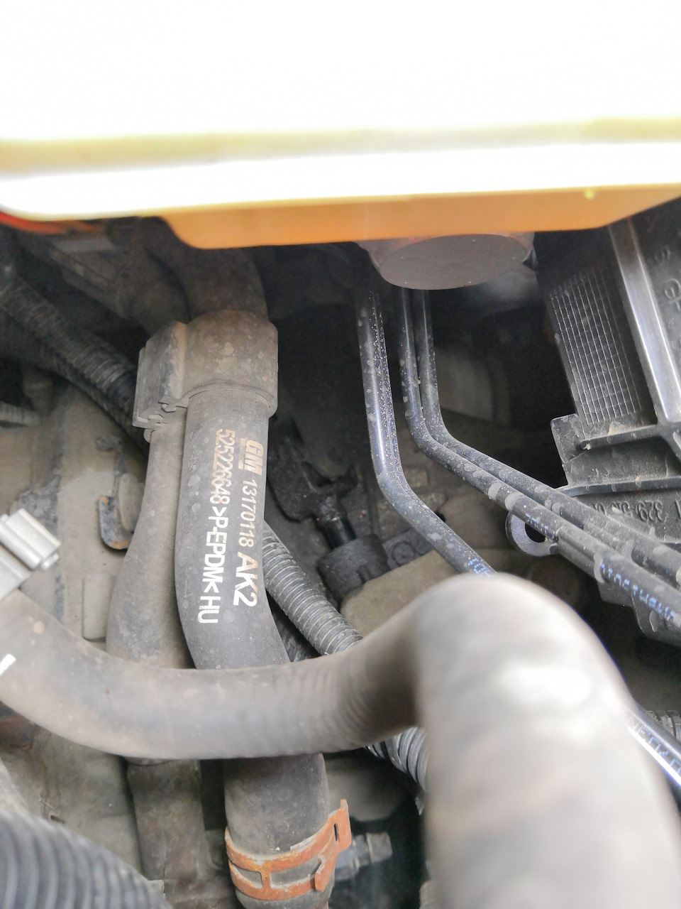 13170118 Шланг отопителя GM | Запчасти на DRIVE2