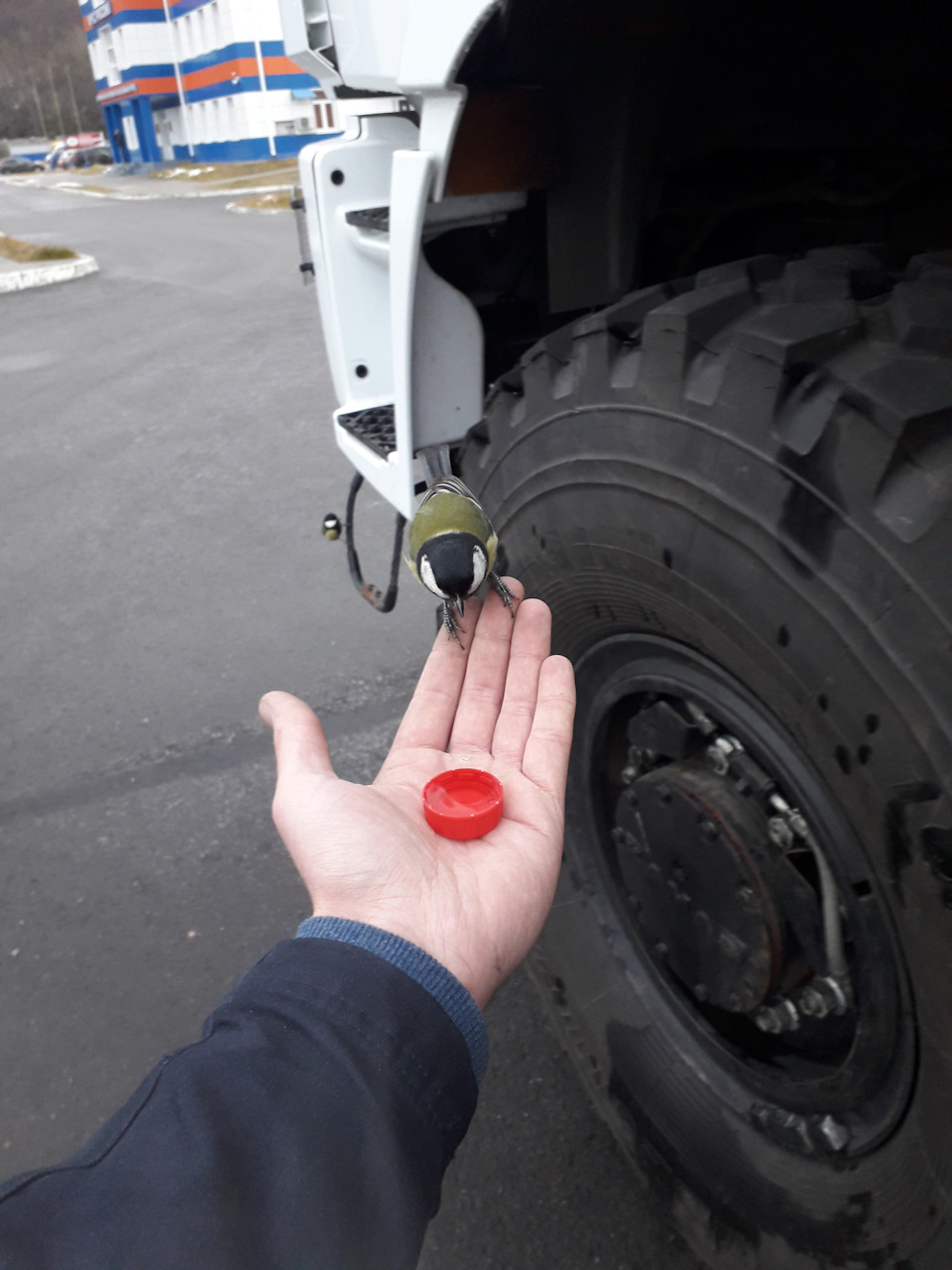 Кадр/026 — DRIVE2