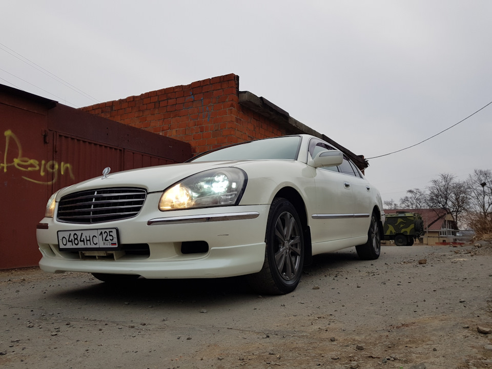 Немного фоточек — Nissan Cima (F50), 4,5 л, 2001 года | фотография | DRIVE2