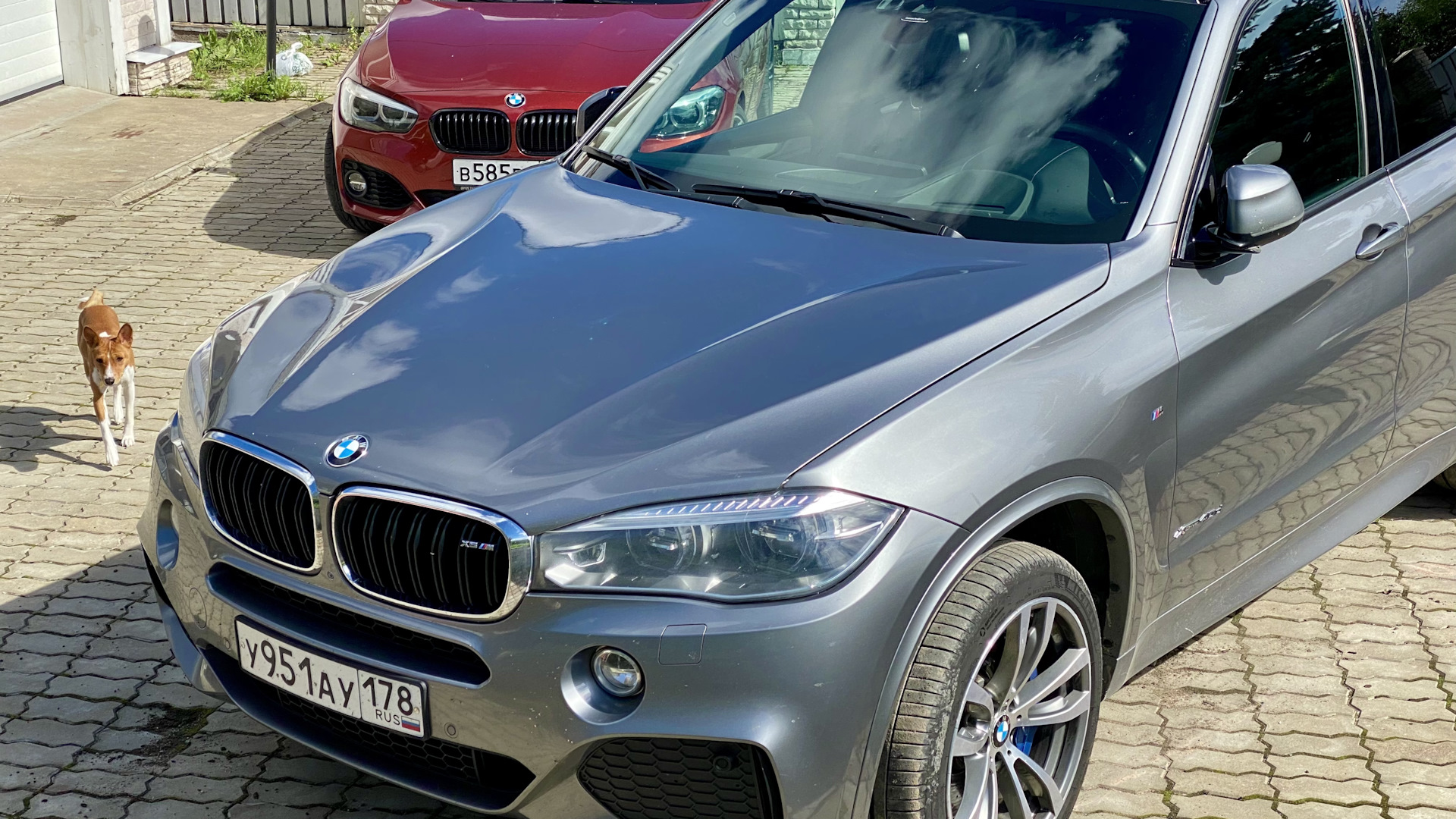 BMW X5 (F15) 3.0 дизельный 2016 | 40d RA на DRIVE2