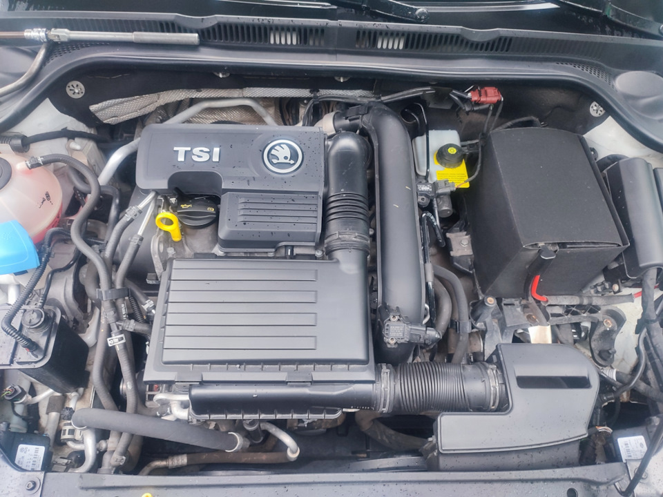 Крышка двигателя EA211 — Volkswagen Jetta VI, 1,4 л, 2016 года | аксессуары | DRIVE2