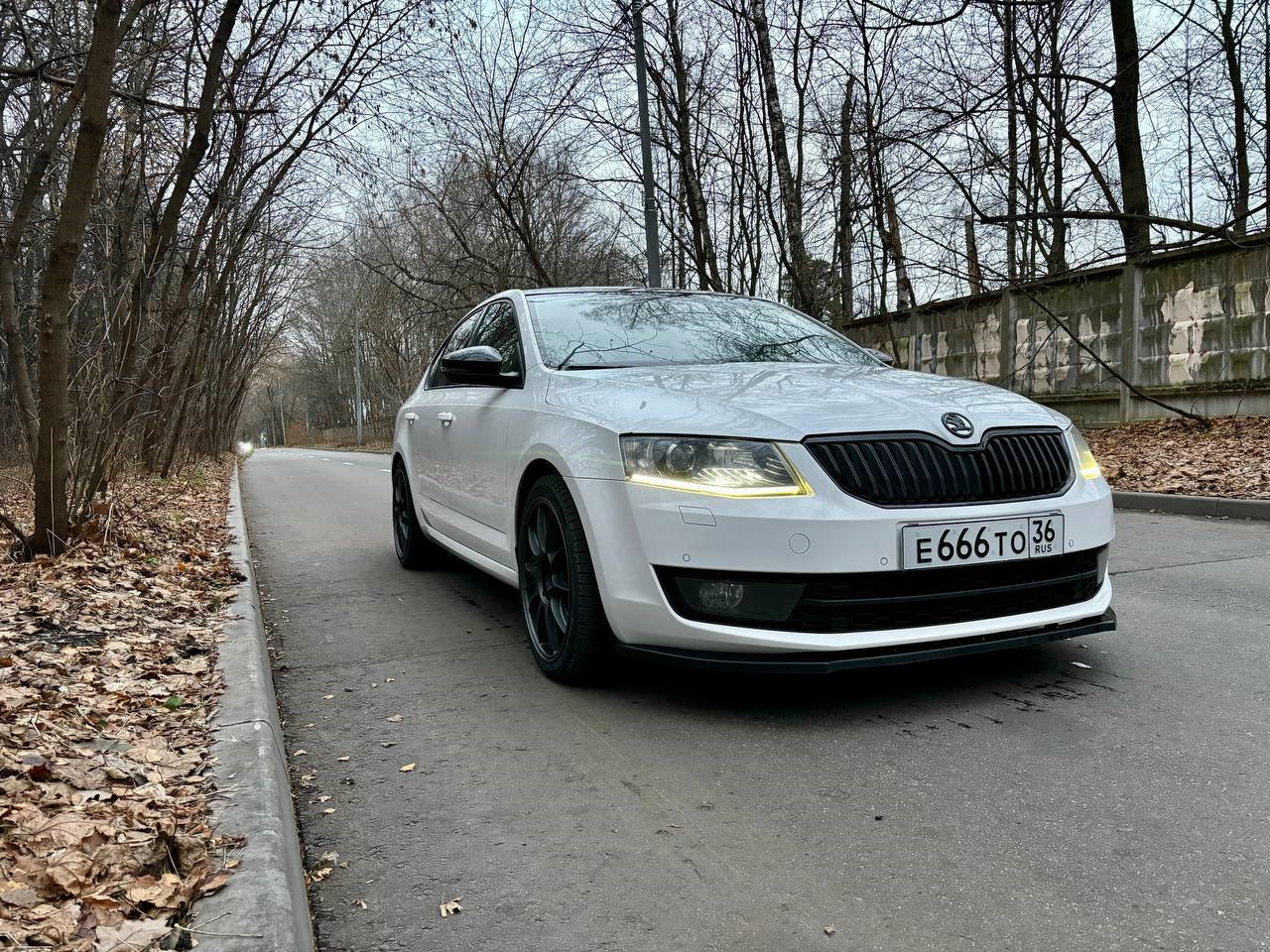 Осенний — Skoda Octavia A7 Mk3, 1,8 л, 2013 года | фотография | DRIVE2