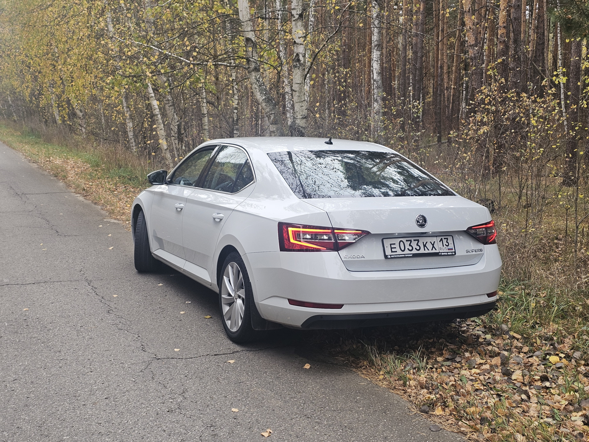 Первые впечатления и сравнение Skoda Superb с Octavia — Skoda Superb ...