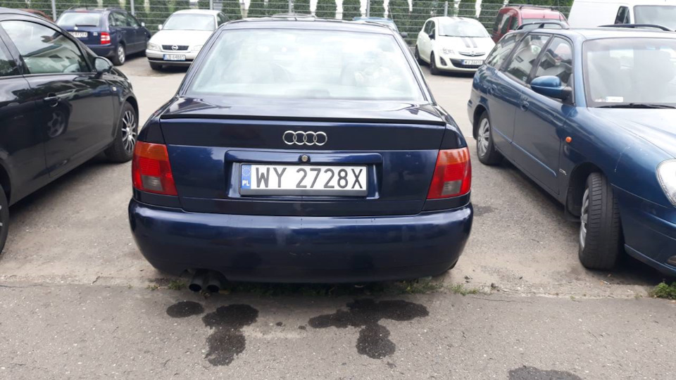Подарили саблю на крышку багажника — Audi A4 (B5), 2,6 л, 1995 года ...