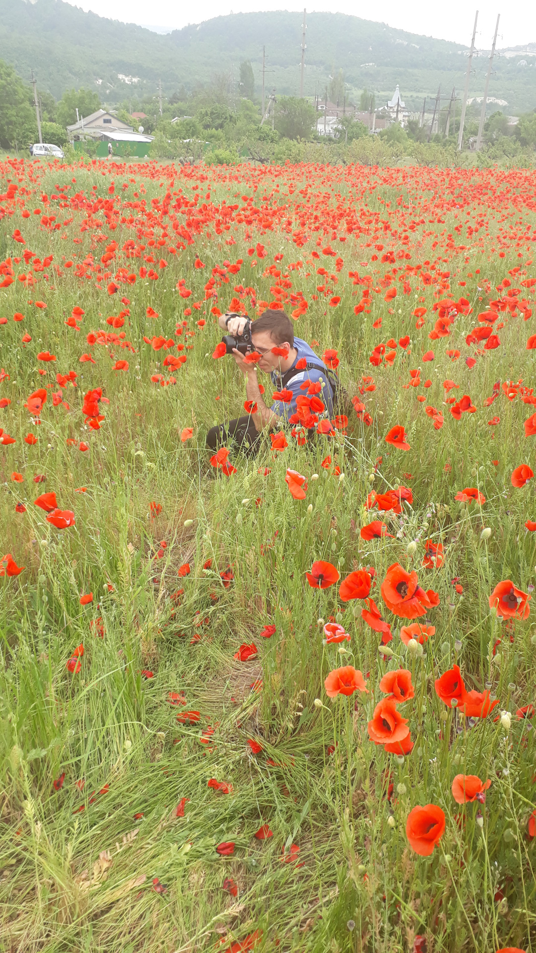 45 Маковые поля фотосессия — Lada Largus Cross, 1,6 л, 2018 года | покатушки | DRIVE2