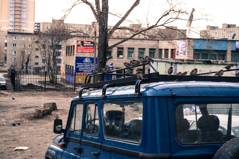 УАЗик на Форвард Сафари привлек наше внимание — DRIVE2