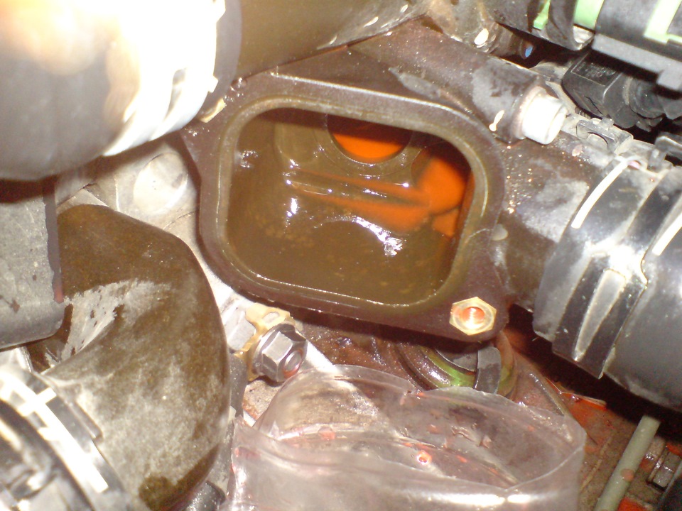 Замена термостата. — Skoda Octavia A4 Mk1, 1,6 л, 2007 года | своими ...