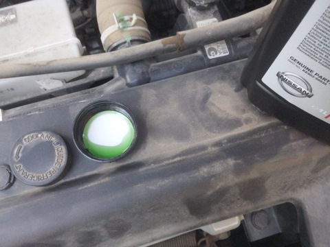 KE90299935 АНТИФРИЗ NISSAN 1L 40С ЗЕЛНЫЙ (EU) NISSAN INFINITI ...