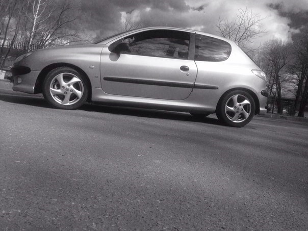 Розовые суппорта (часть 1) — Peugeot 206, 1,6 л, 2001 года | другое ...