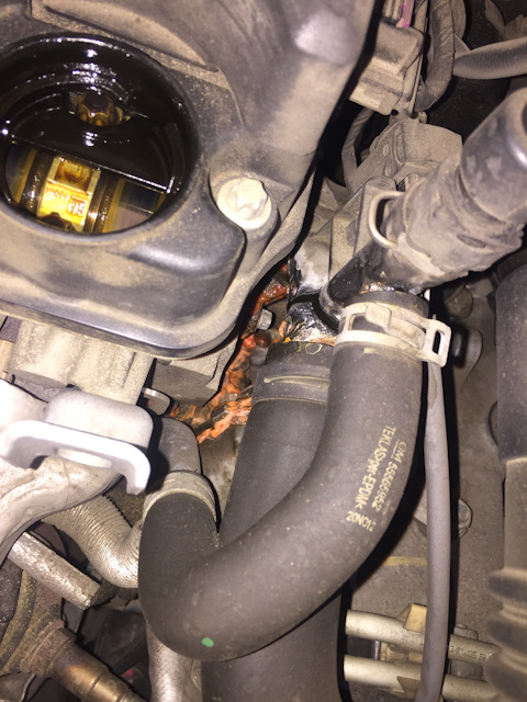 55565952 Шланг маслоохладителя GM | Запчасти на DRIVE2