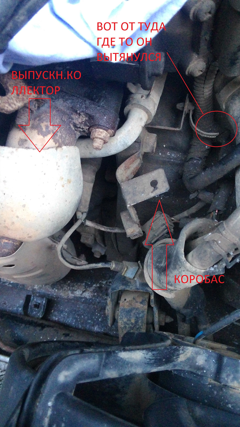 Помогите, откуда провод с фишкой? — Hyundai Accent (2G), 1,5 л, 2000 ...