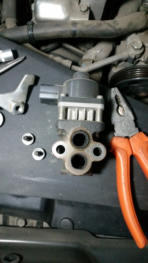 809218420 Поликлиновый ремень. Число ручьев 5 SUBARU | Запчасти на DRIVE2