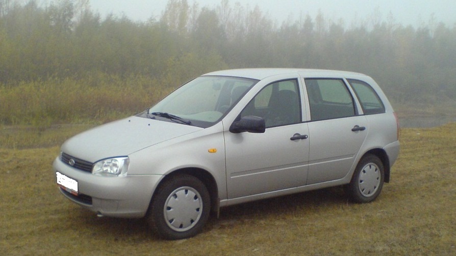 Ромашки — Lada Калина универсал, 1,5 л., 2011 года | поломка | DRIVE2