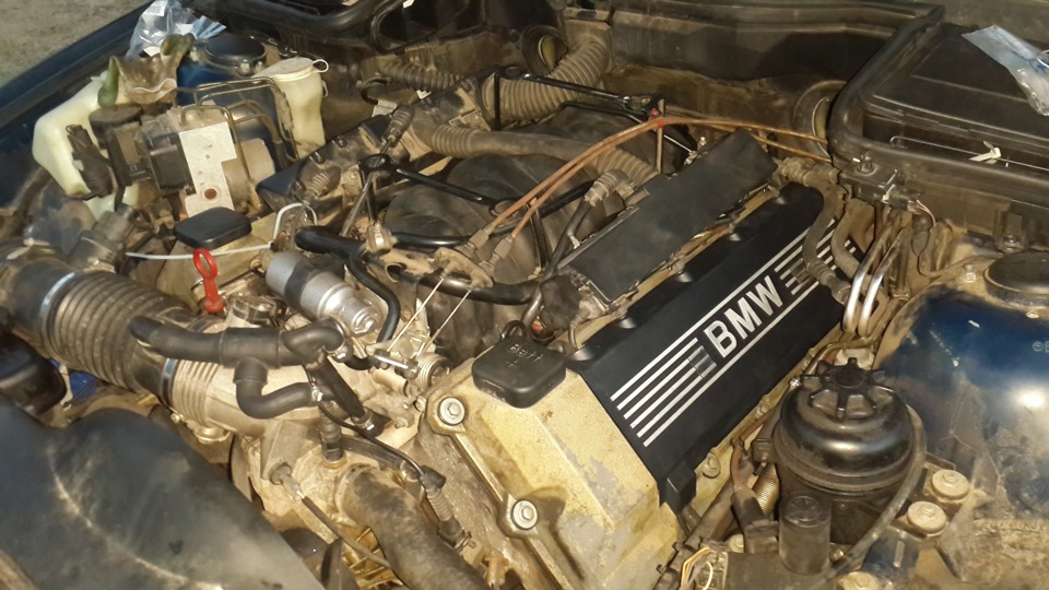 РАЗЬЕМЫ часть 2 — BMW 5 series (E39), 4,4 л, 1998 года | электроника ...