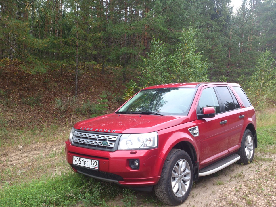 В лес — Land Rover Freelander 2 (L359), 2,2 л, 2011 года | другое | DRIVE2