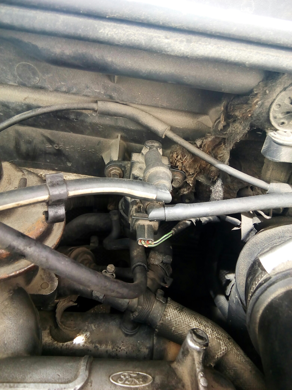 Вопрос по датчику вакумника Егр — Ford Transit Connect, 1,8 л, 2003 ...