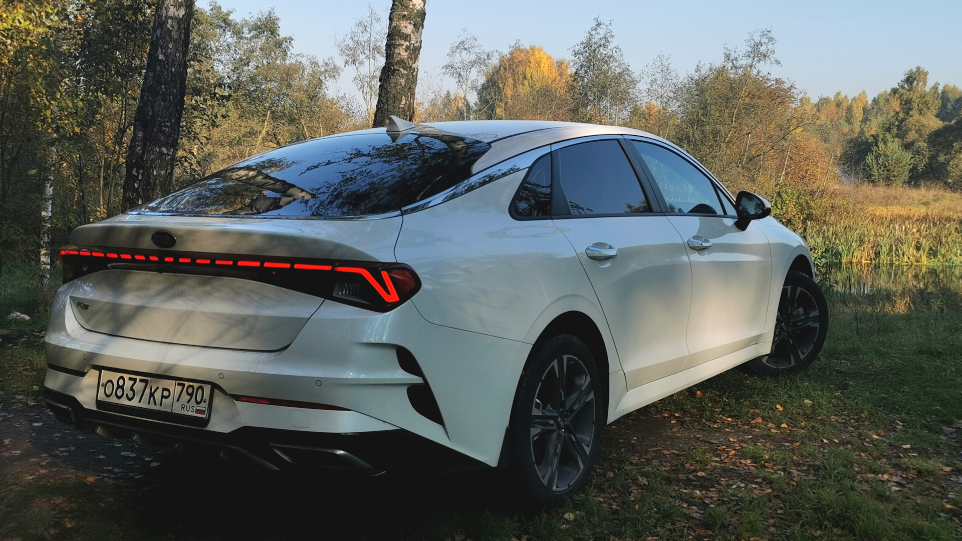 KIA K5 (3G) 2.5 бензиновый 2020 | Пузотёр•Ка•5 на DRIVE2