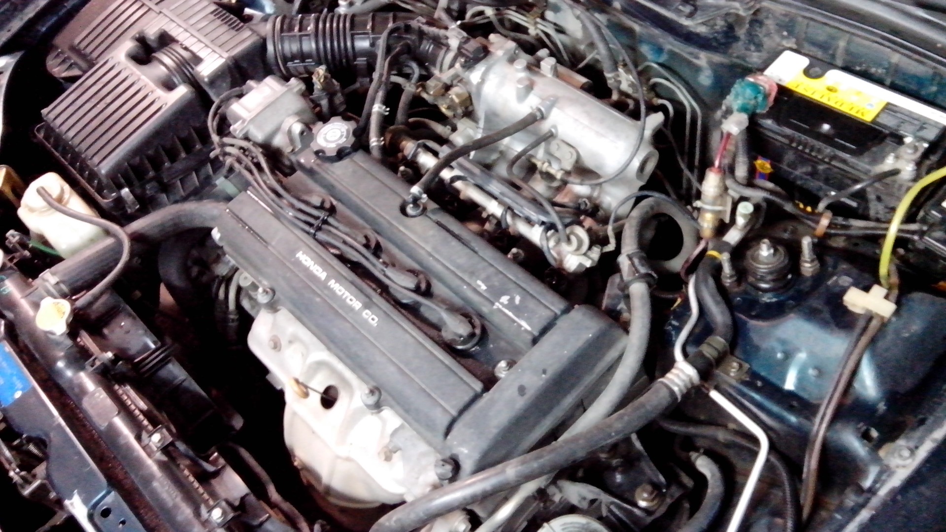 Honda Orthia 2.0 бензиновый 1996 | на DRIVE2