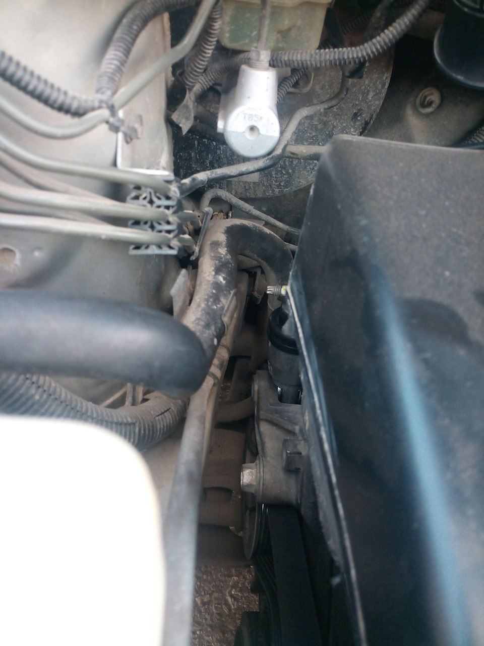 Победил льва ))) — Toyota Caldina (241), 1,8 л, 2005 года | своими ...