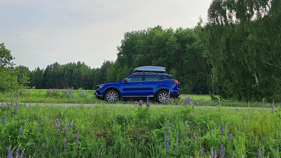 Geely Atlas Pro 1.5 бензиновый 2022 | на DRIVE2