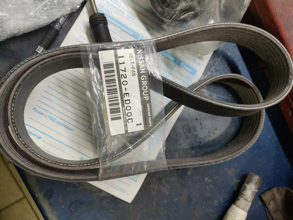 11720ED00C ПОЛИКЛИНОВЫЙ РЕМЕНЬ 7 PK 1140 NISSAN INFINITI | Запчасти на ...