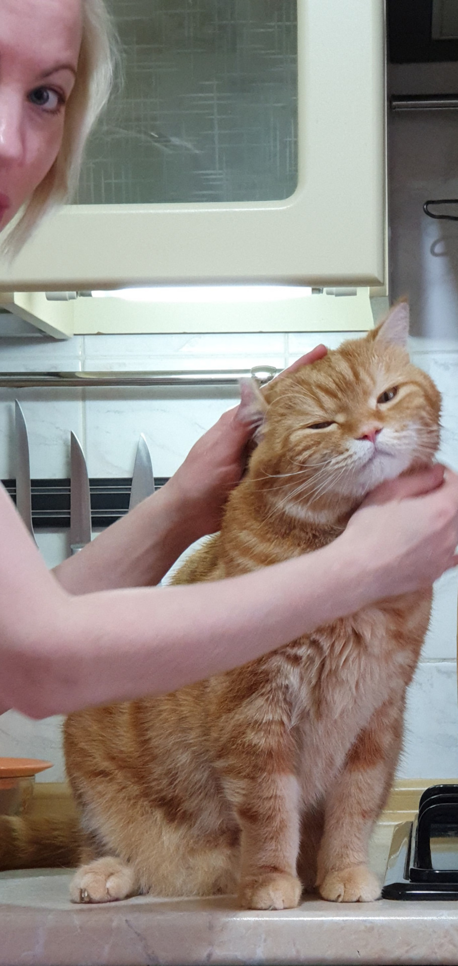 Выполненные работы с 2009г — Toyota Camry (XV30), 2 л, 2002 года ...